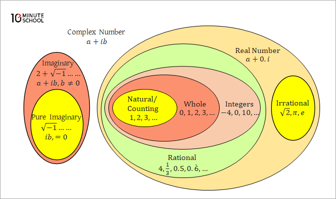 জটিল সংখ্যা কি? আর্গন্ডের চিত্র, ভেক্টর স্থাপন-বিস্তারিত