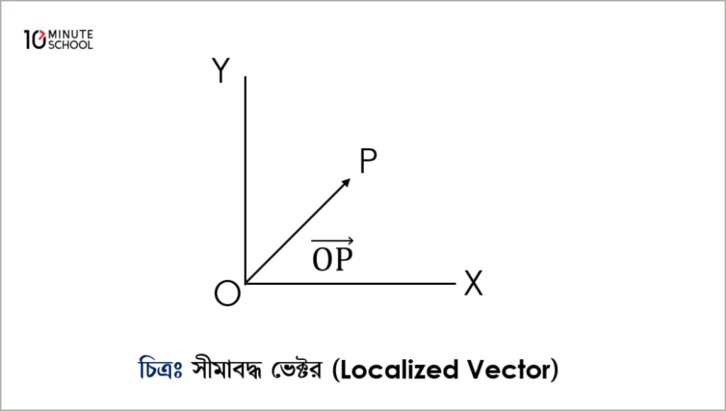 ভেক্টরের প্রকারভেদ | Types of Vectors