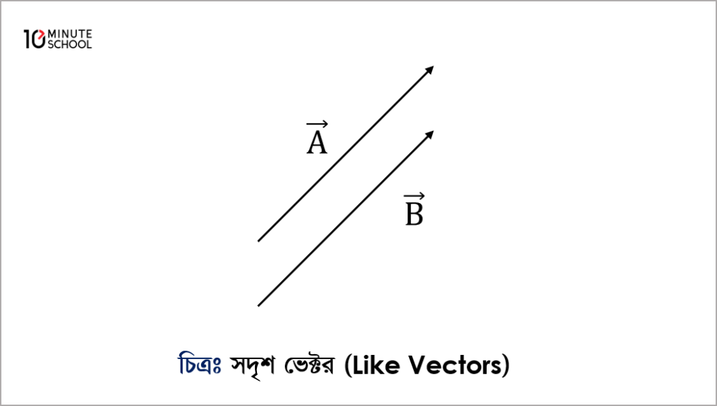 ভেক্টরের প্রকারভেদ | Types of Vectors