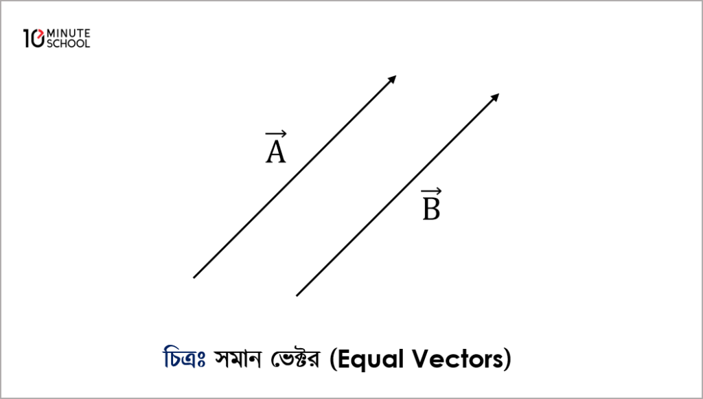 ভেক্টরের প্রকারভেদ | Types of Vectors