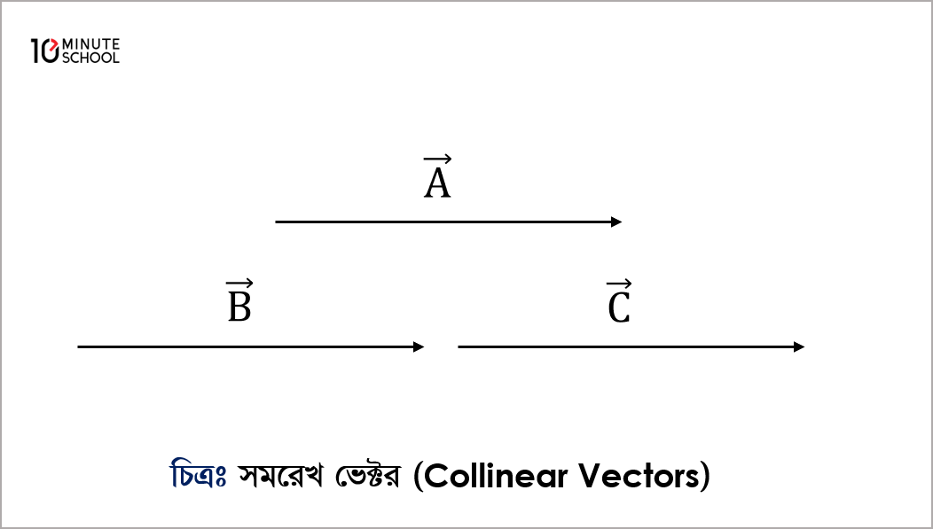 ভেক্টরের প্রকারভেদ | Types of Vectors
